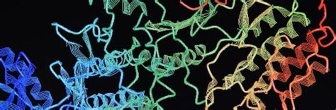 Protein Purity Analysis Cd Formulation