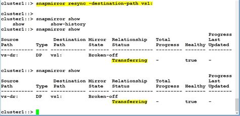 Remote Infrastructure Management Netapp Ontap 9 Svm Dr Configuration Steps