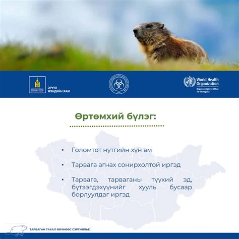 Зоонозын Өвчин Судлалын Үндэсний Төв ЗӨСҮТ Home