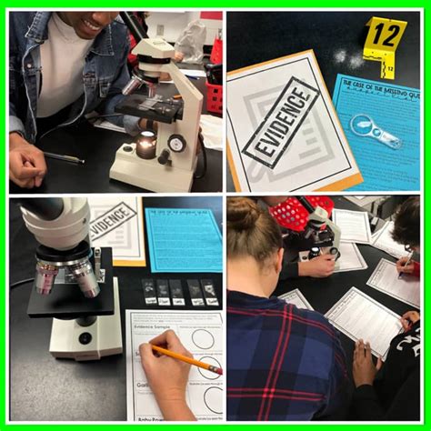 Microscope Lab Investigation The Case Of The Missing Quiz Tpt
