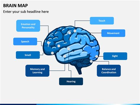 Brain Presentation Template