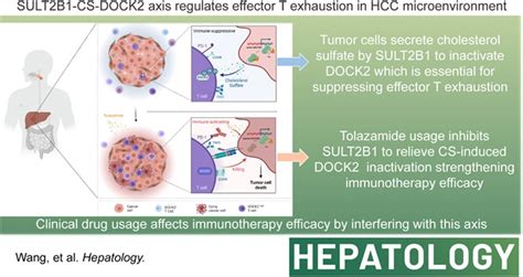 T细胞耗竭 2024年研究热点 每日生物评论