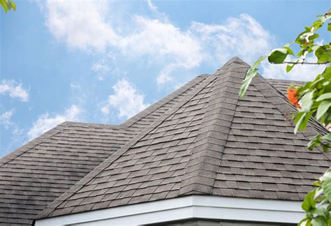 지붕의 가장자리는 집 꼭대기에 지붕 배경에 어두운 아스팔트 타일 지붕에 대한 스톡 사진 및 기타 이미지 지붕 새로운 대상포진 Istock