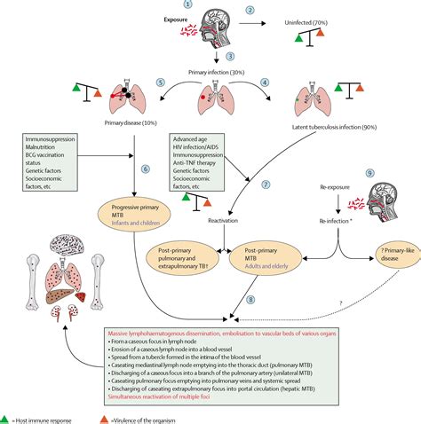 Extrapulmonary Tuberculosis Pathogenesis