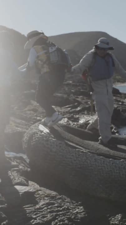 Aimee Cothran Ms Eds On Linkedin Dont Just Visit The Galápagos