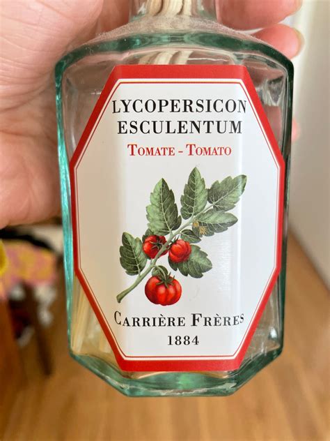 Diffusers Elevate Your Space With Luxury Home Diffusers Libertine Parfumerie