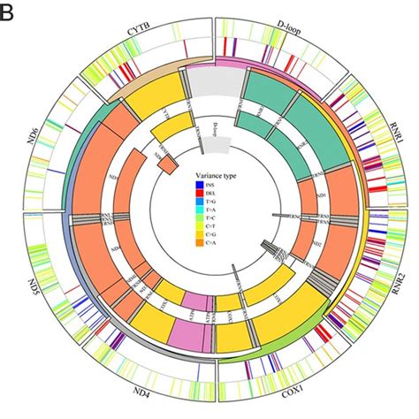 Mutation Landscape Of Nuclear Genome In Tumor Tissues Of Stage Ia Luad