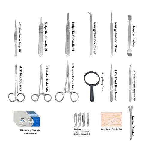Complete Suture Practice Kit And Dissection Kit Suture Kit Australia