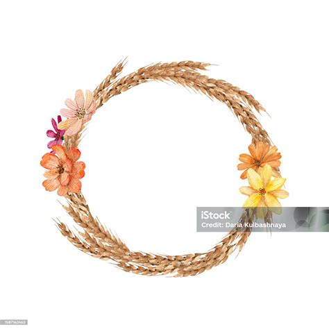 밀이나 호밀 귀로 만든 수채화 화환 둥근 프레임 밀 이삭으로 만든 원형 프레임 가을 수확 빵집 포장 디자인 초대장 프로모션 전단지 템플릿 엽서 들에 대한 스톡 벡터 아트 및