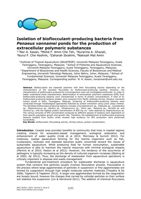 Pdf Isolation Of Bioflocculant Producing Bacteria From Penaeus Vannamei Ponds For The