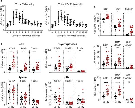 Rv‐induced Lymphoid Organ Hypertrophy Occurs Primarily In The Mlns