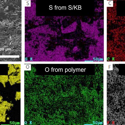 Cross Section Image Of 3d Pols Cathode With Element Mapping Of Sulfur Download Scientific