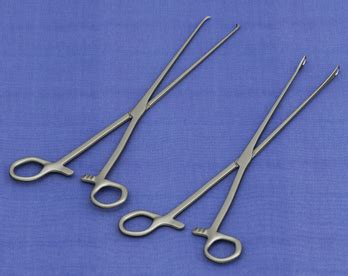 Cervical Polypectomy Basicmedical Key