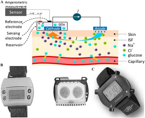 Non Invasive Cgm Systems A The Schematic Diagram Of The Principle