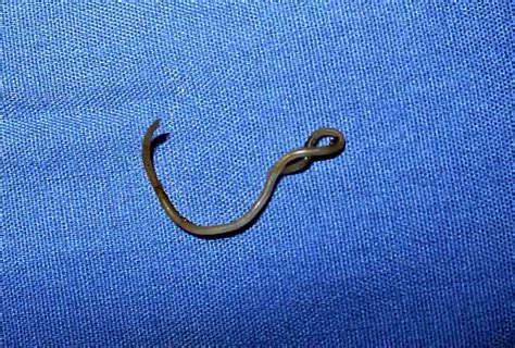 What Are Roundworms Klarity Health Library