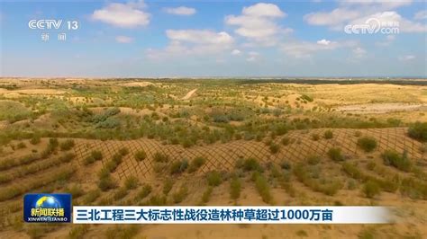 三北工程三大标志性战役造林种草超过1000万亩 凤凰网