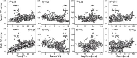 Relationships Between Sex‐specific Mean Body Size Snoutvent Length