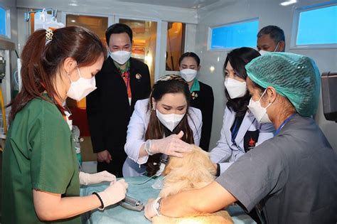 ในพระราชสำนัก กรมพระศรีสวางควัฒนฯ เสด็จออกหน่วยสัตวแพทย์อาสาจุฬาภรณ์ จ อุดรธานี