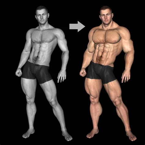 Muscle Morph Transformation