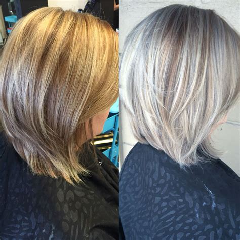 Before And After Silver Hair Silver Hair Color Grey Hair Color