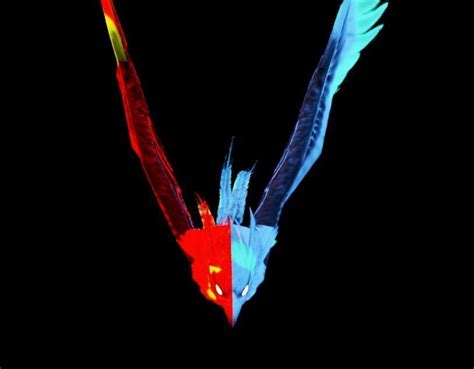 Flying Anka Bird 3d Model Animated Rigged Cgtrader