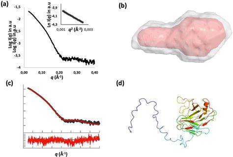 Saxs Data And Models For Nopaa A Experimental Saxs Data Are Plotted
