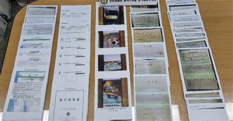 갭투자 사기로 전세 지원금 83억 챙긴 일당 무더기 검거