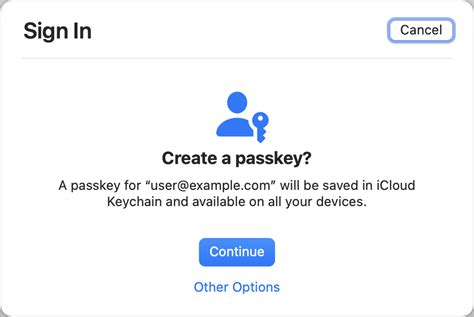 Signing In With Passkeys Tender