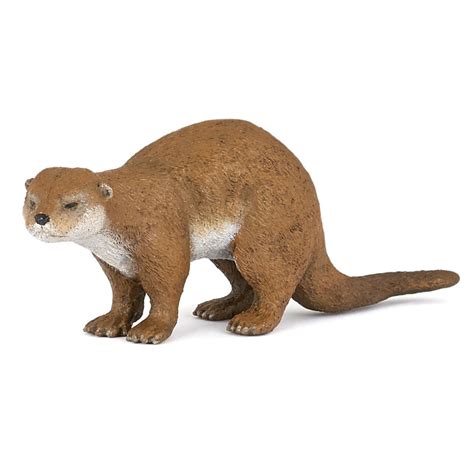 Nutria Europea La Extinción