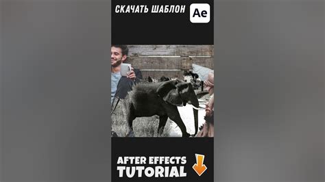 Slideshow Переход в After Effects Tutorial Template Youtube