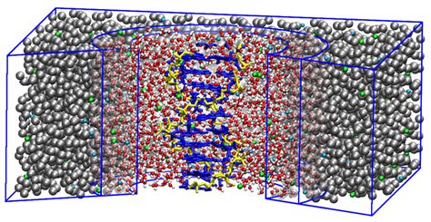 An Atomistic Dna Molecule Embedded In A Dual Resolution Salt Solution Download Scientific