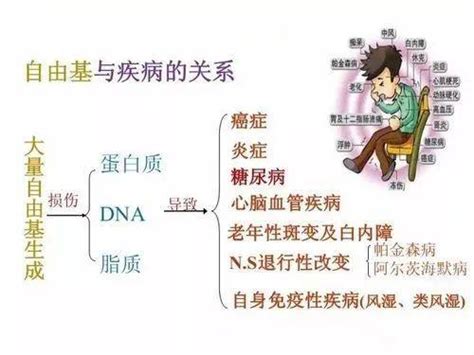 人类衰老之源——自由基，你真的了解它吗？疾病