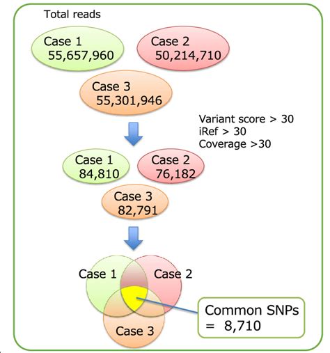 Filtering Scheme For Identification Of Common SNPs In Three Patients Download Scientific