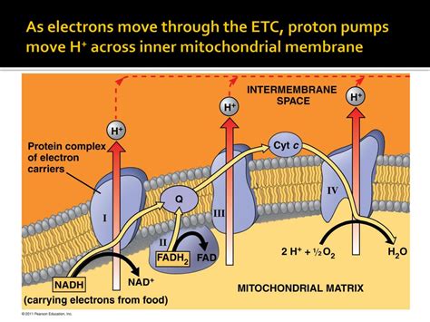 Chapter 9 Warm Up Define Ppt Download