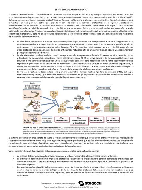 El Sistema Del Complemento Pdf Sistema Complementario Inmunidad Humoral