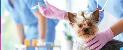 Ralph Hernandez On Linkedin Revolutionizing Surgery Laparoscopic