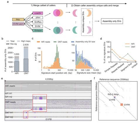 Examining Assembly Only Structural Variants A The Schematic Of Download Scientific Diagram
