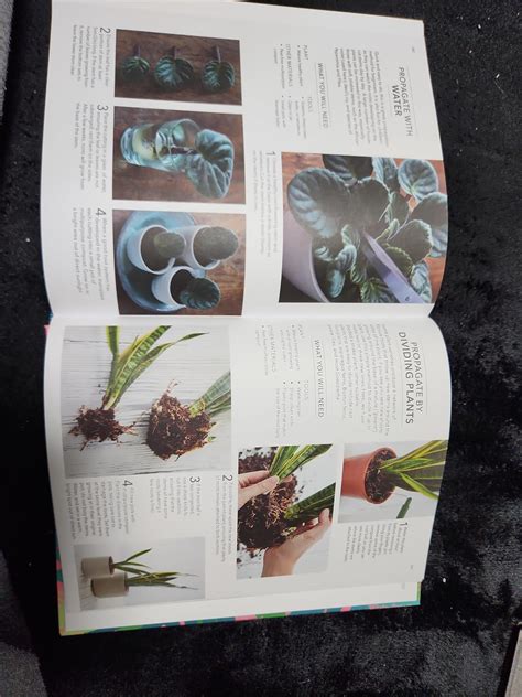 Rhs House Plant Practical Advice For All House Plants Cacti And