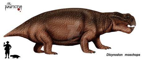 Dicynodon Moschops By Theropsida On Deviantart