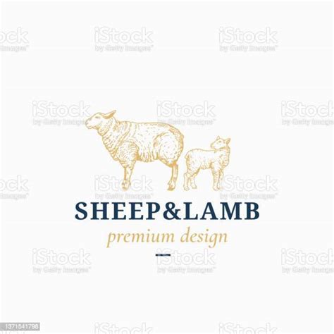 양 및 양 추상 벡터 기호 기호 레이블 템플릿 손으로 그린 양과 작은 어린 양 실호엣과 고급 복고풍 타이포그래피 빈티지 벡터 엠블럼 양 새끼에 대한 스톡 벡터 아트 및 기타