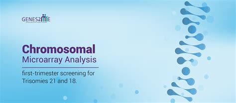 Chromosomal Microarray Analysis Test During Pregnancy Genetic Screen