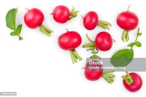 텍스트에 대한 복사 공간과 흰색 배경에 고립 신선한 전체 무 맨 위 보기 0명에 대한 스톡 사진 및 기타 이미지 0명 개체 그룹 건강한 식생활 Istock