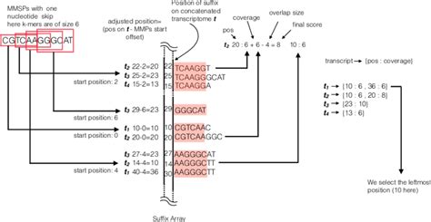 the mmsps corresponding to a read are derived from multiple suffix download scientific diagram