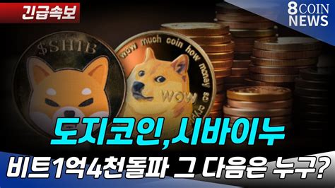 도지코인시바이누 비트 1억4천 돌파 그 다음을 우린 생각 해야합니다 Youtube