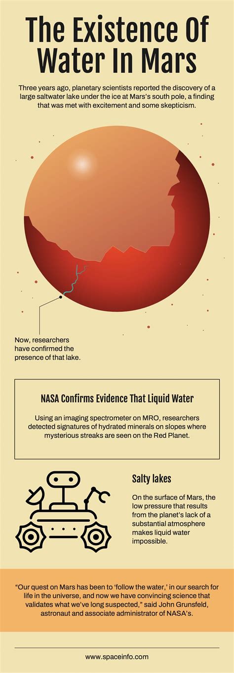 Target Market Infographic Presentation Template