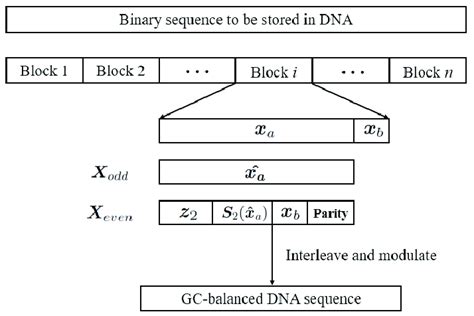 Construction Of A DNA Sequence From A Block Of Data Download Scientific Diagram