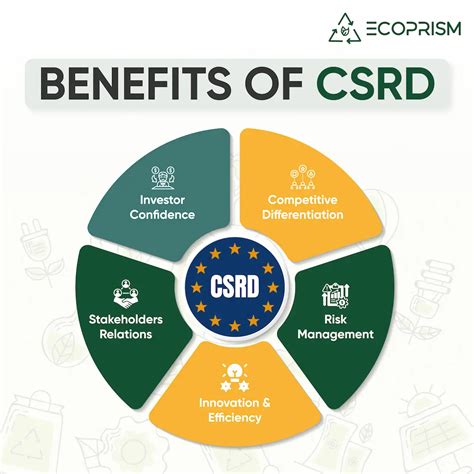 Mastering Your First Csrd Report Key Tips For Success Ecoprism