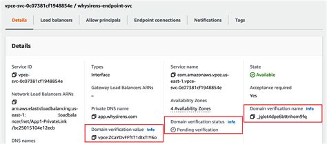 setting up private dns with aws privatelink
