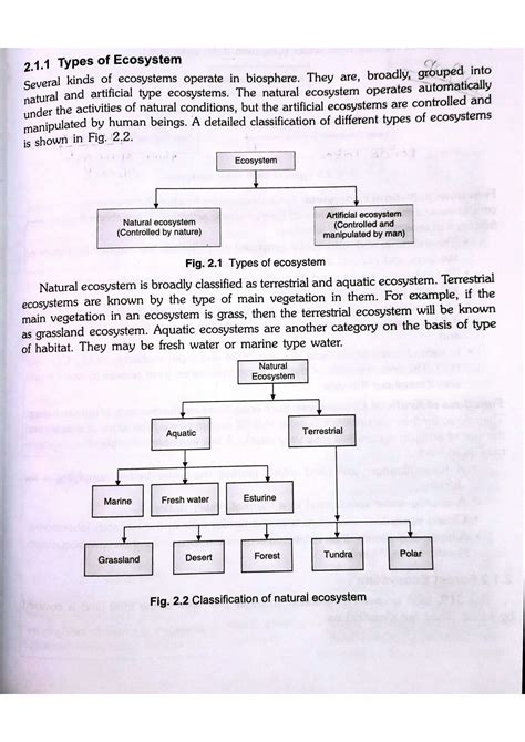 SOLUTION Ecosystem Overview Studypool