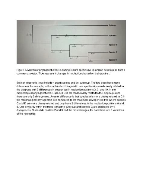Figure 1 Graph And Writing Figure 1 Molecular Phylogenetic Tree